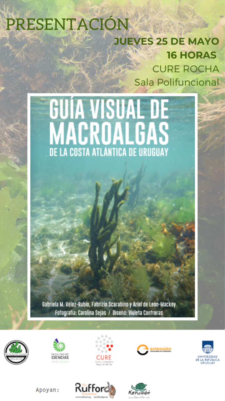 Presentación de la Guía visual de Macroalgas de la costa atlántica de Uruguay, jueves 25, 16 ...