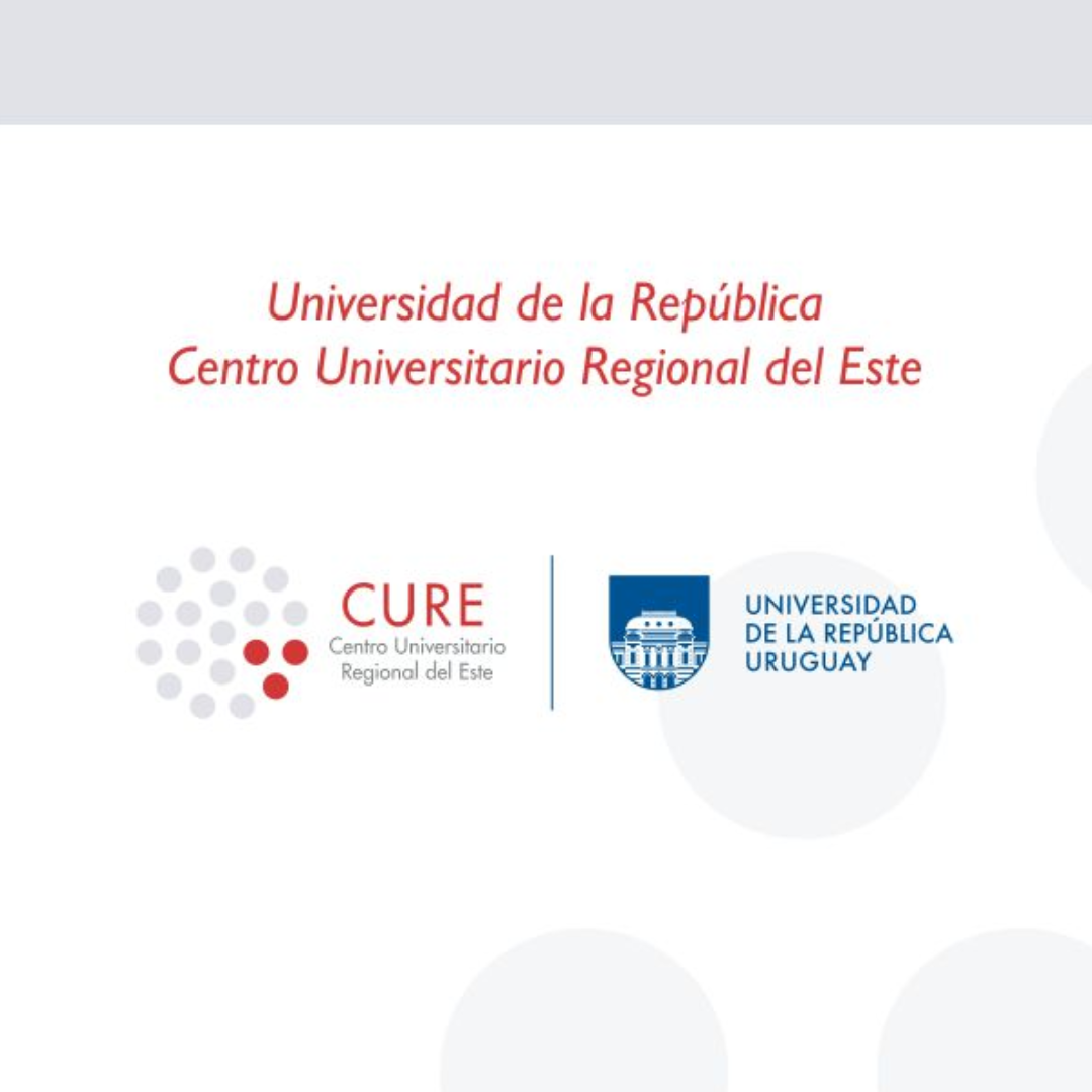 Resolución adoptada por el Director del CURE en el marco de la ...